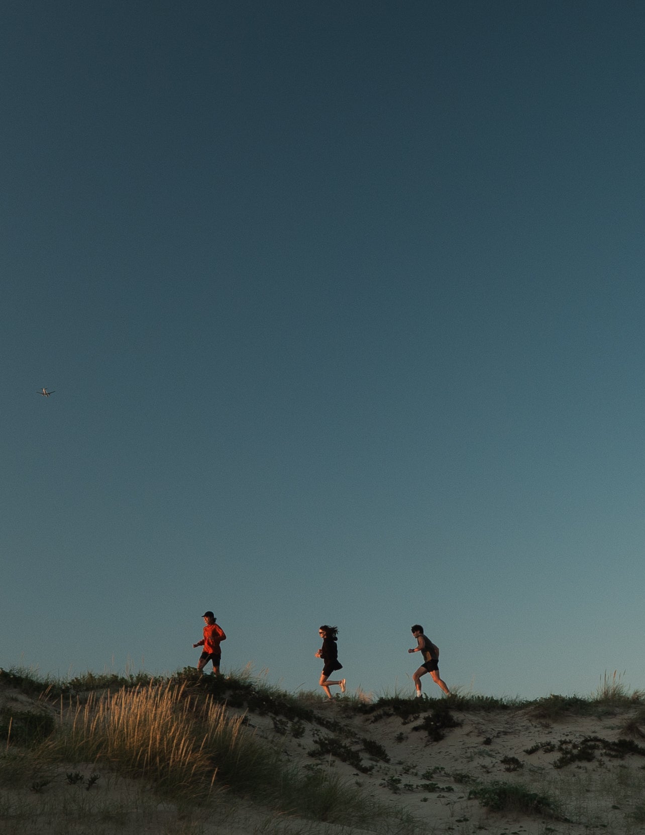 Collections – SUBI